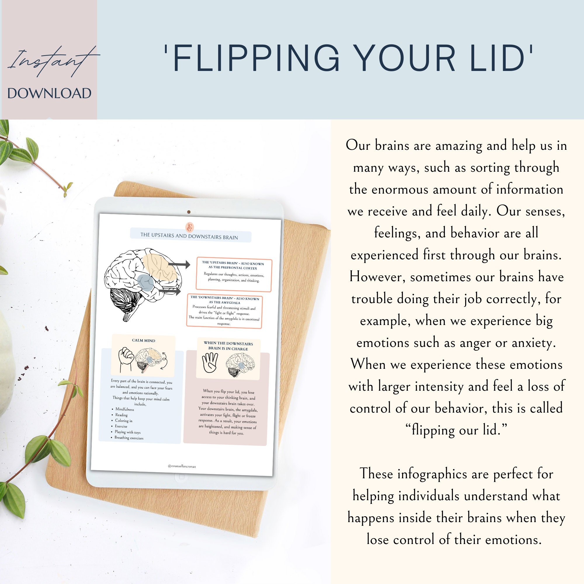 Understanding Your Brain When You Flip Your Lid Brain and - Etsy Australia Understanding Your Brain When You Flip Your Lid Brain and - Etsy Australia