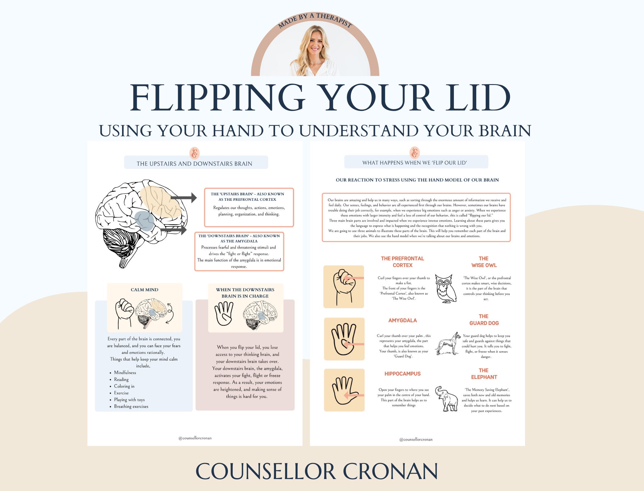 Flipping Your Lid Infographic Handout for Emotional Intelligence: Self ...