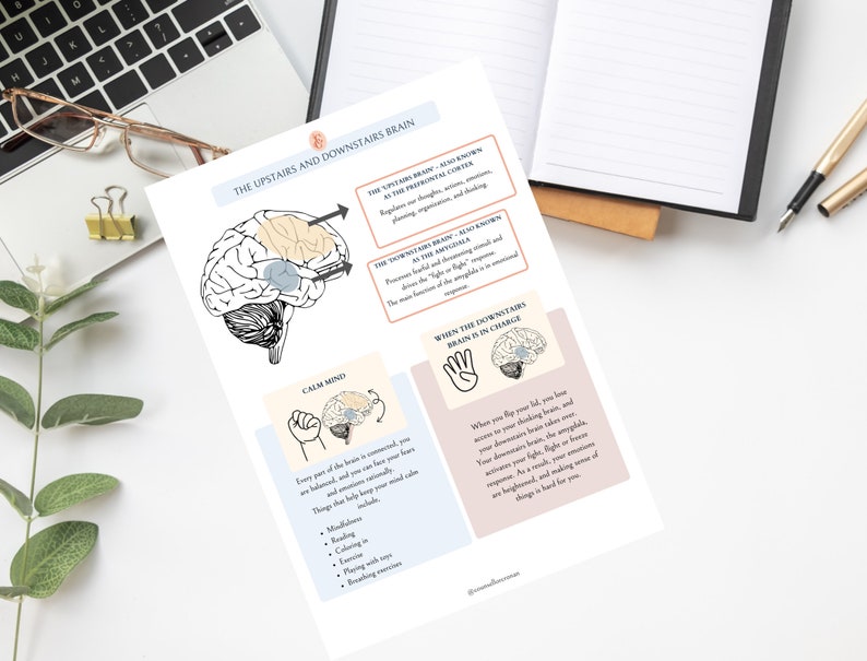 Flipping Your Lid Infographic Handout for Emotional Intelligence: Self ...