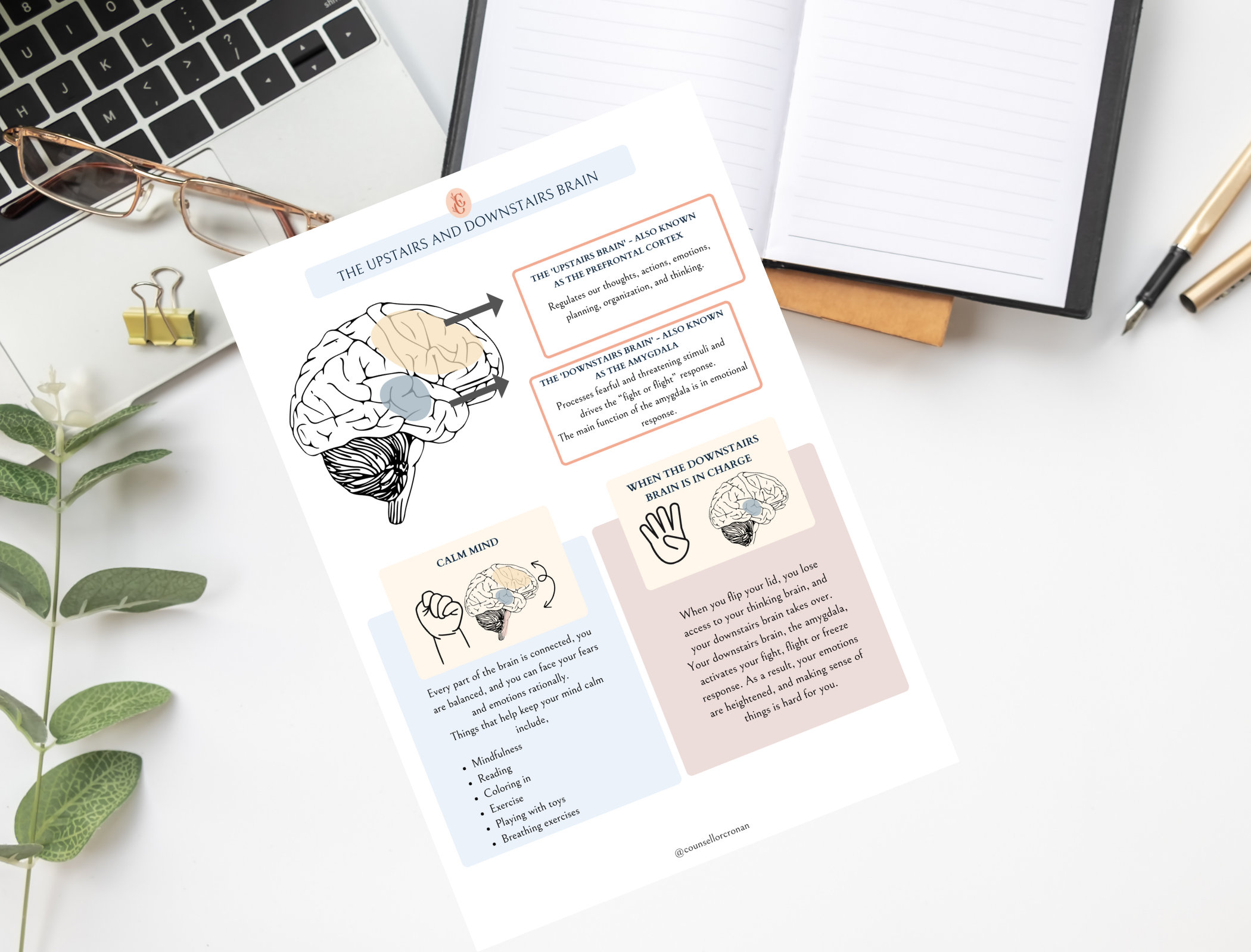 Flipping Your Lid Infographic Handout for Emotional Intelligence: Self ...