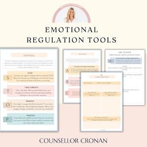 The Emotional Regulation Toolkit for Teens and Adults. Mindfulness ...