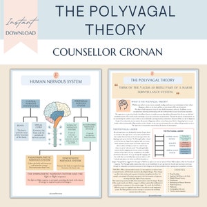 The Polyvagal Theory, Vagus Nerve Stimulation, Psychology, Therapy ...