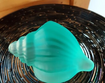 Glass Conch Shell | Etsy
