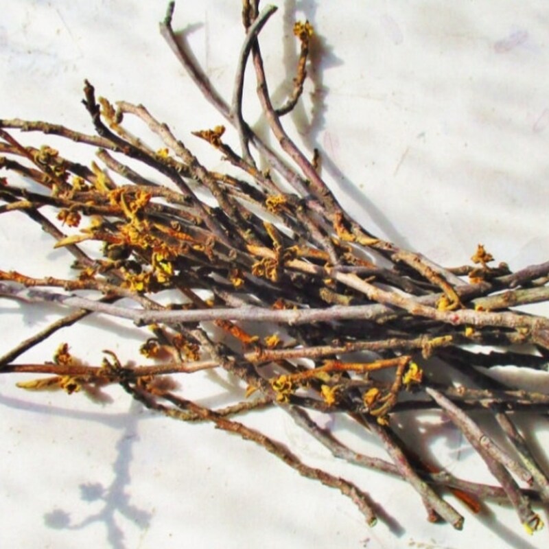 AppalachianMntHerbs - Etsy