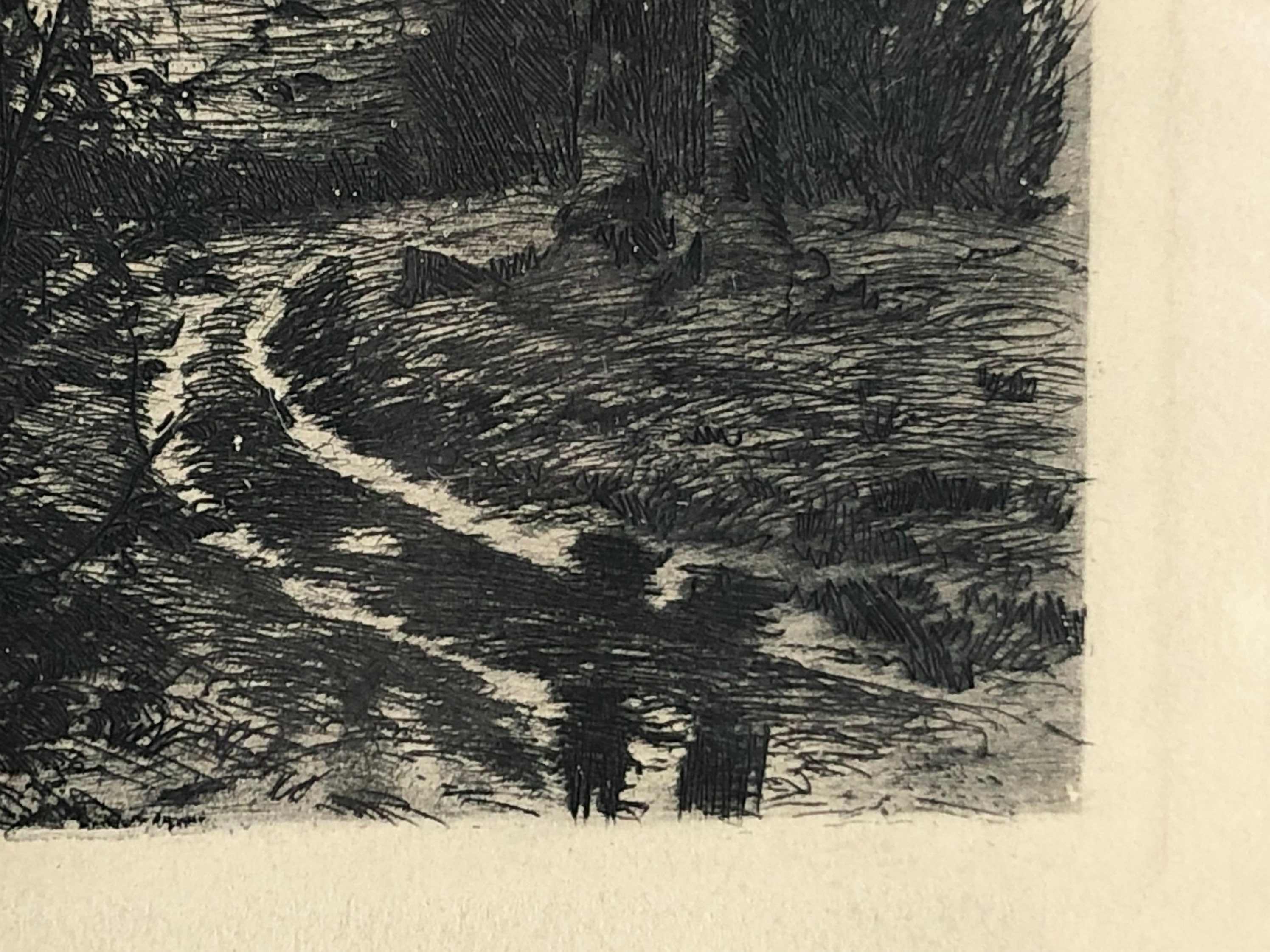 Original Danish Antique Etching From 1899 With Beautiful Nature Motive ...