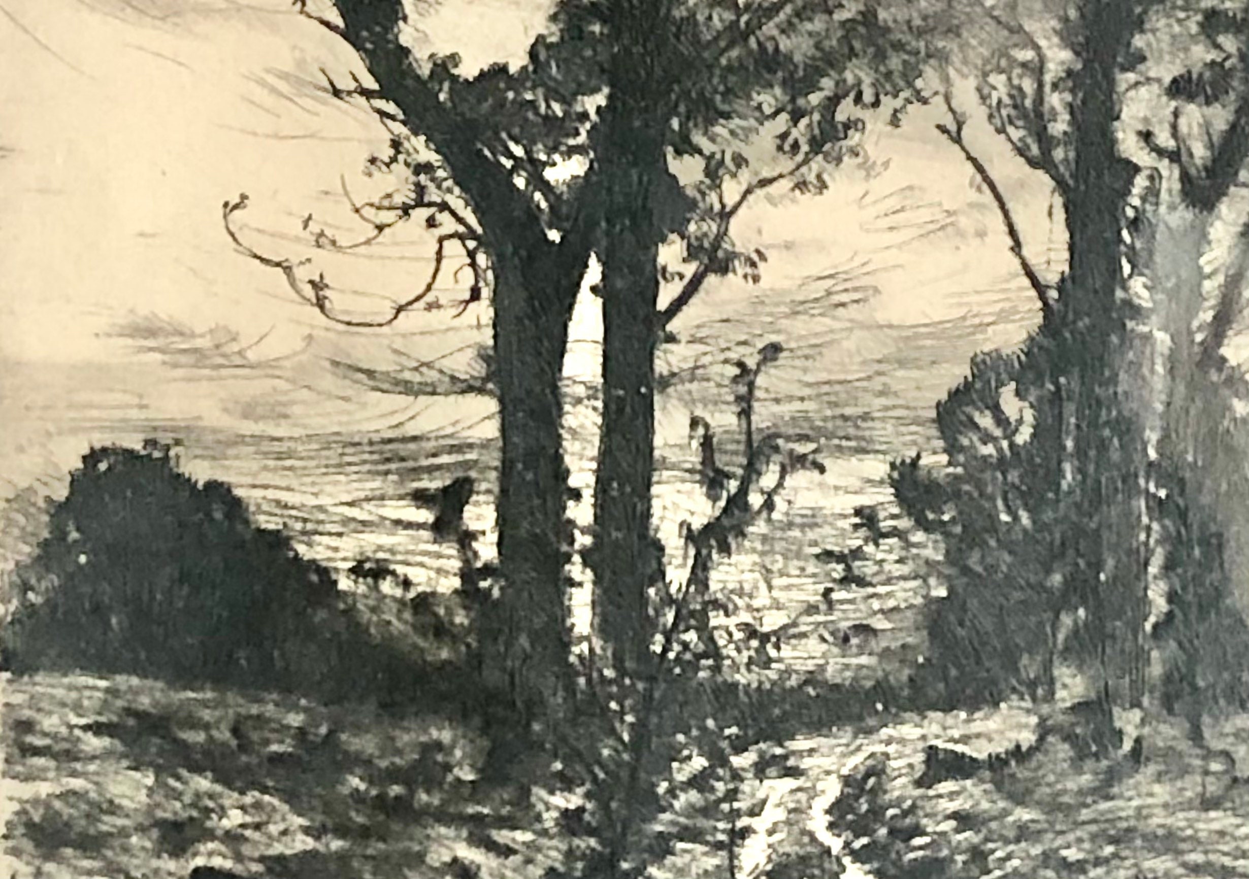 Original Danish Antique Etching From 1899 With Beautiful Nature Motive ...