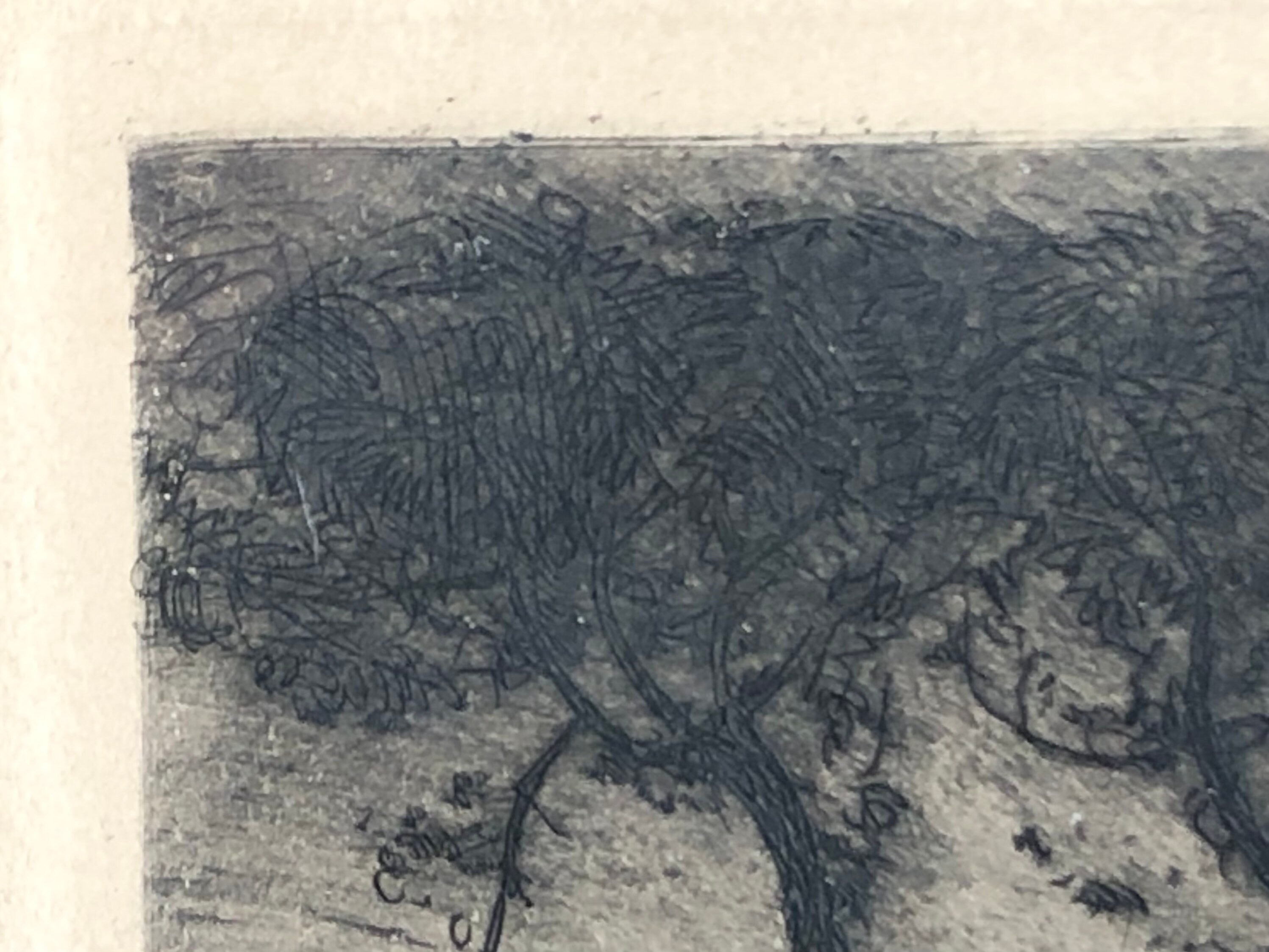 Original Danish Antique Etching From 1899 With Beautiful Nature Motive ...