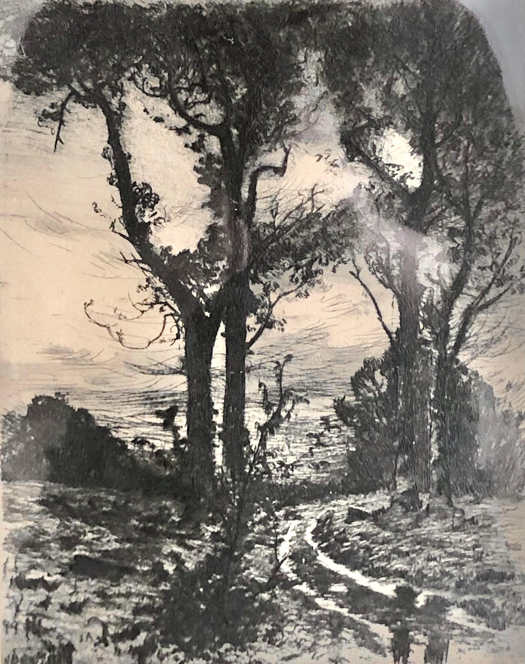 Original Danish Antique Etching From 1899 With Beautiful Nature Motive ...