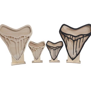 MEGALODON Shadow Box, Shark Teeth Display we Wholesale, FREE SHIPPING ...
