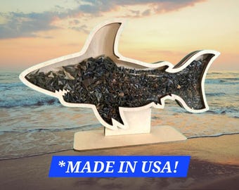 Shark Teeth Shadow Box for Shark Teeth, Small Shells, Fossils, Agates ...
