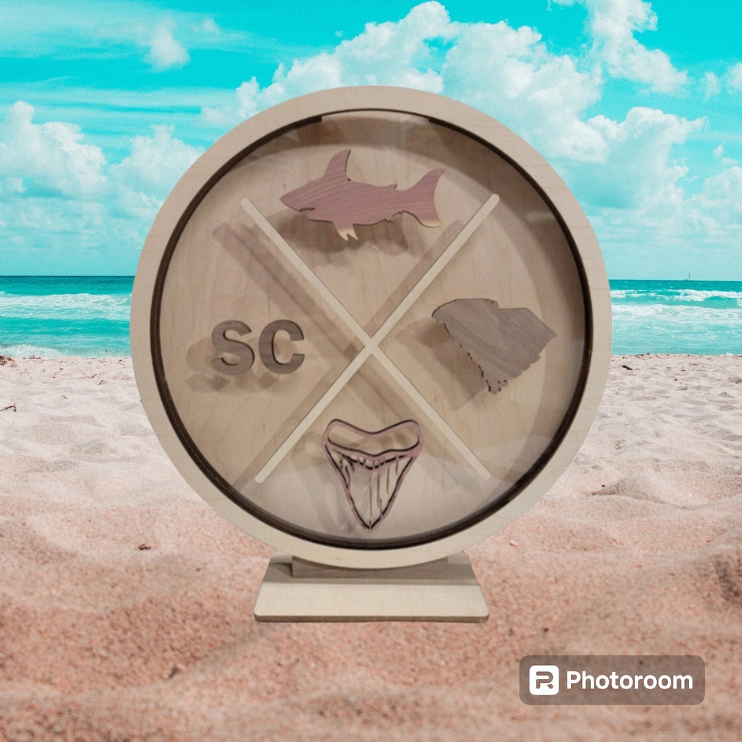 Shark Teeth south Carolina Shadow Box Perfect Way to Display Your Small ...