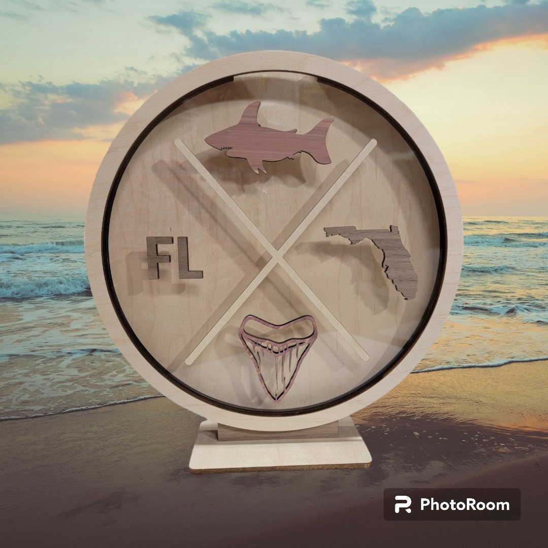 Shark Teeth florida Shadow Box Perfect Way to Display Your Small Shark ...