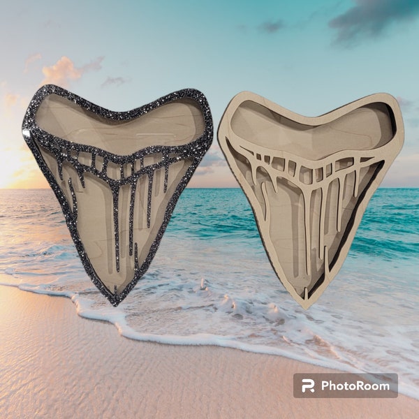Megalodon Tooth Display Case - Etsy