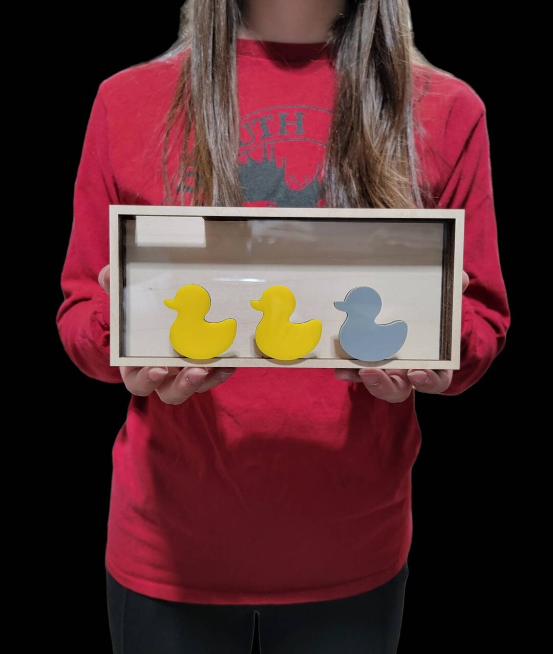 Minnesota Duck Duck Grey Duck Shadow Box for Lake Superior Agates ...