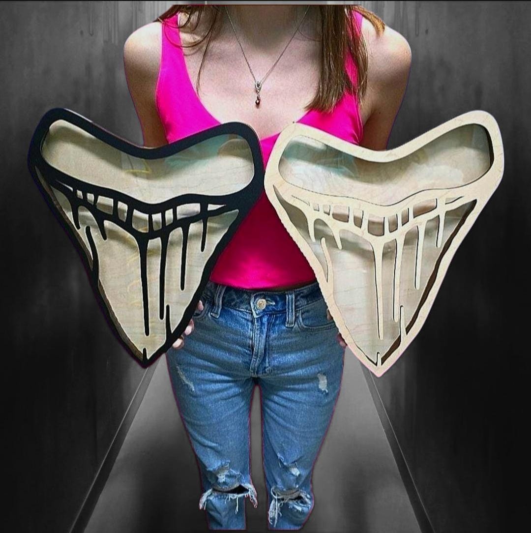 MEGALODON Shark Teeth Shadow Box Wall Hanger! Shark Tooth Display We ...