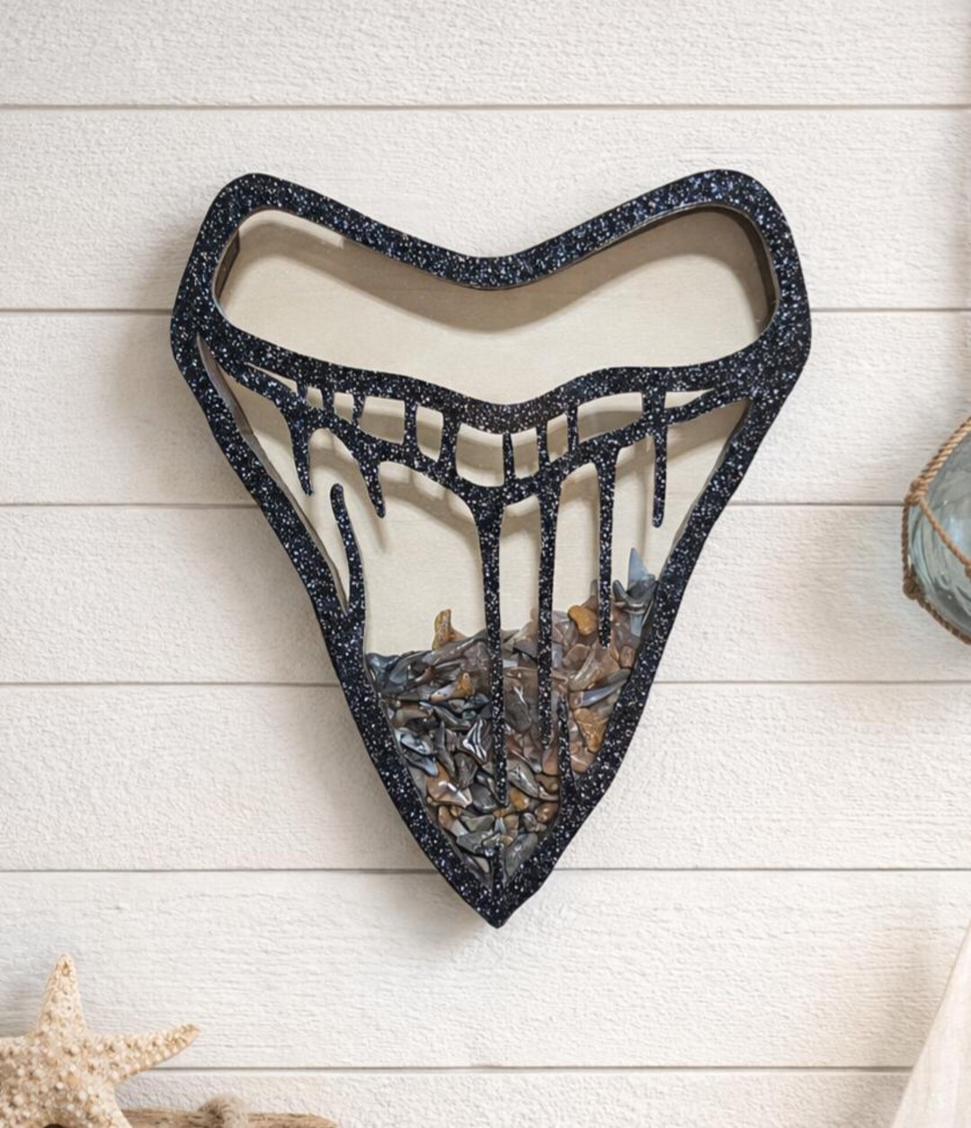Megalodon Shark Tooth Shadow Box: Shark Teeth Display Wood or Black ...