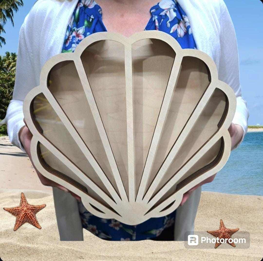 Seashell Shadow Box LARGE WALL Hanger for Your Seashells, Agates, Sea ...