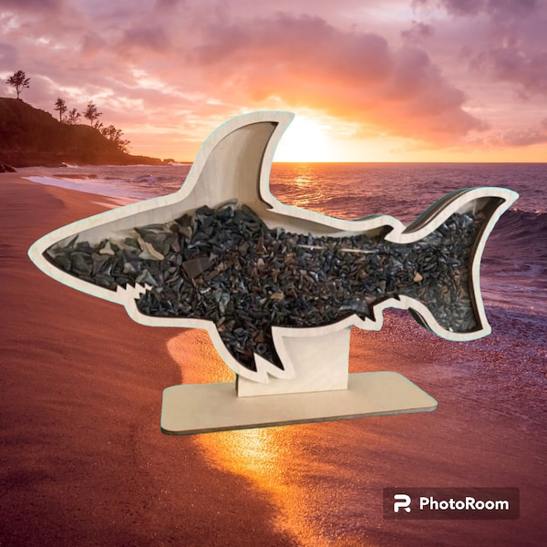 Shark Tooth Container - Etsy