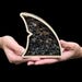 Shark Fin Shadow Box: Beach Keepsake Display for Shark Teeth | Sea ...