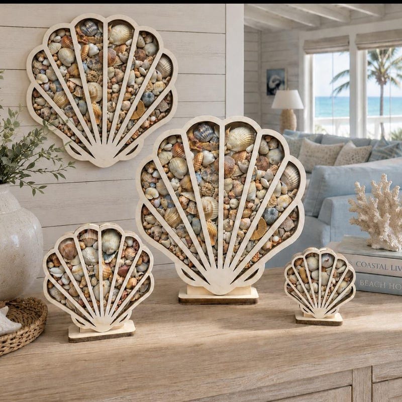 Seashell Glass Display Box - Etsy