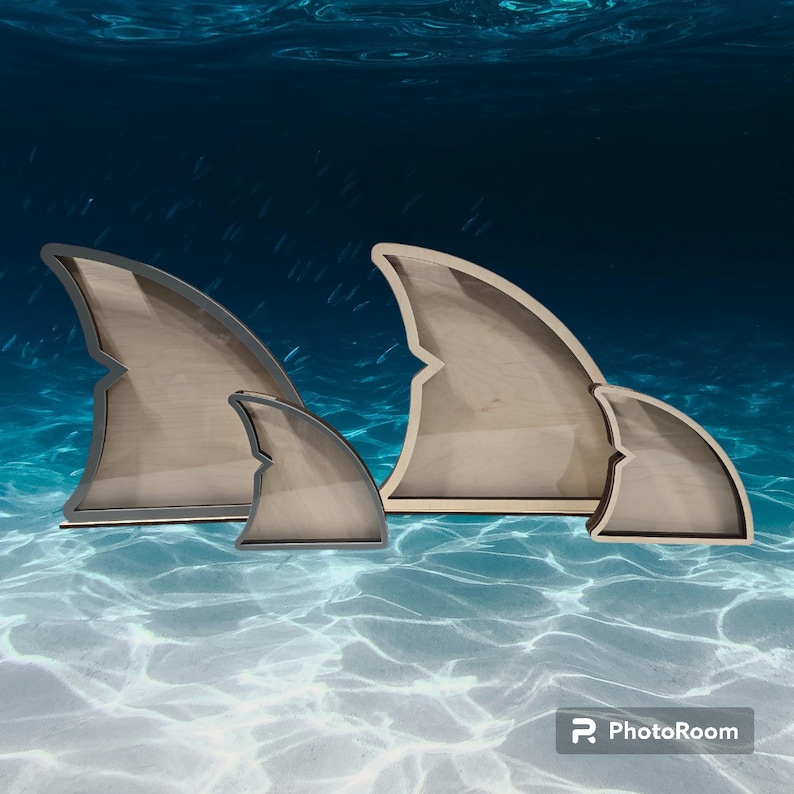 Shark Fin Shadow Box: Beach Keepsake Display for Shark Teeth | Sea ...