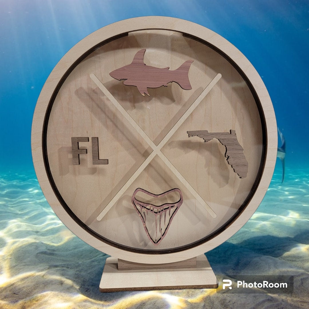 Shark Teeth florida Shadow Box Perfect Way to Display Your Small Shark ...