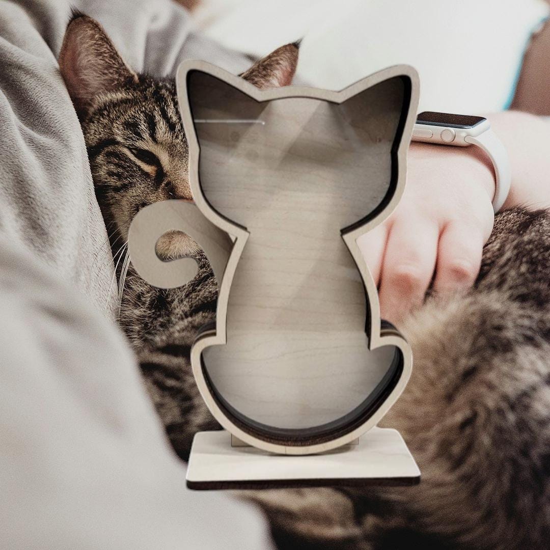 Cat Shadow Box for Lake Superior Agates, Agates, Beach Glass, Crystals ...