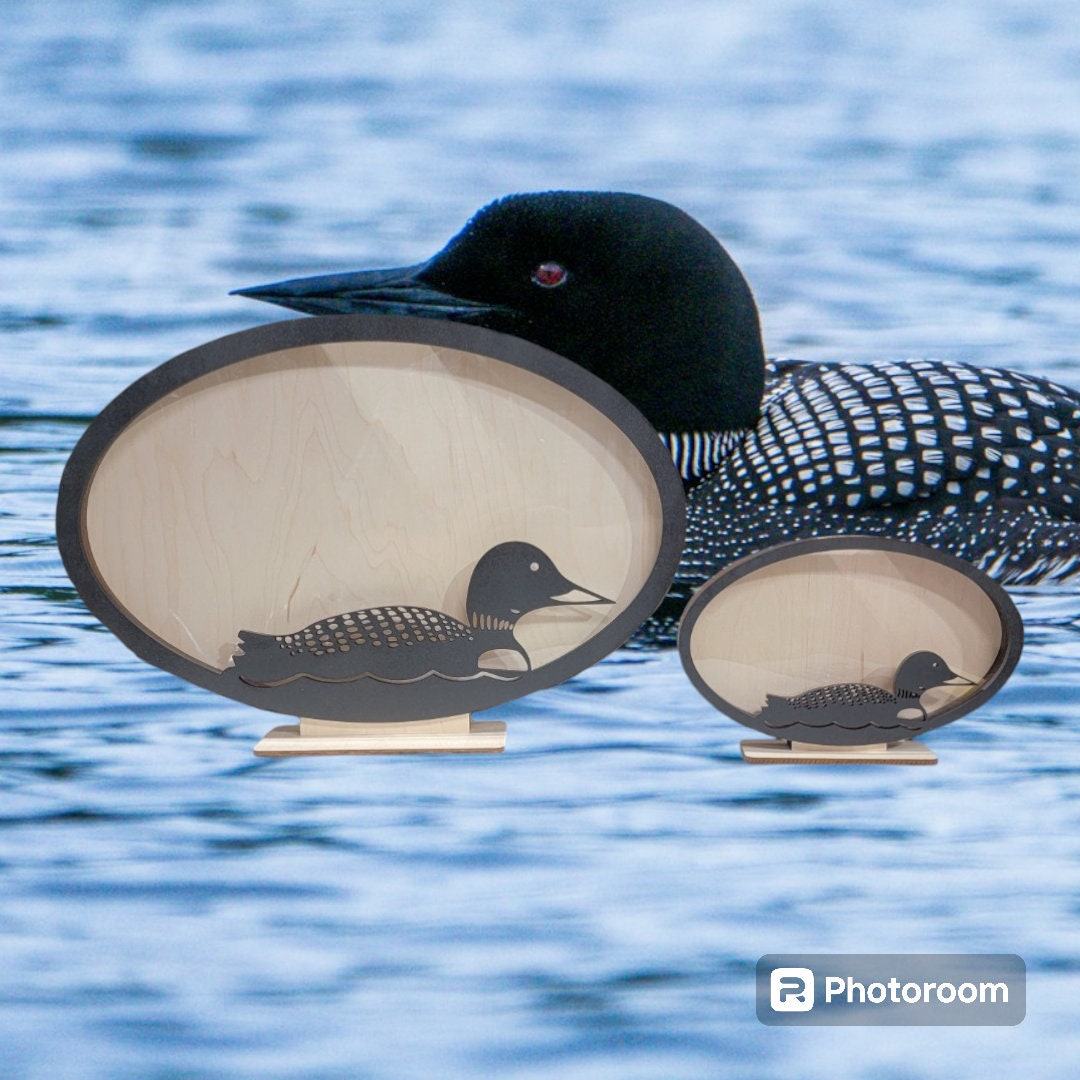 Loon Shadow Box: Beach Keepsake Display Case - Etsy