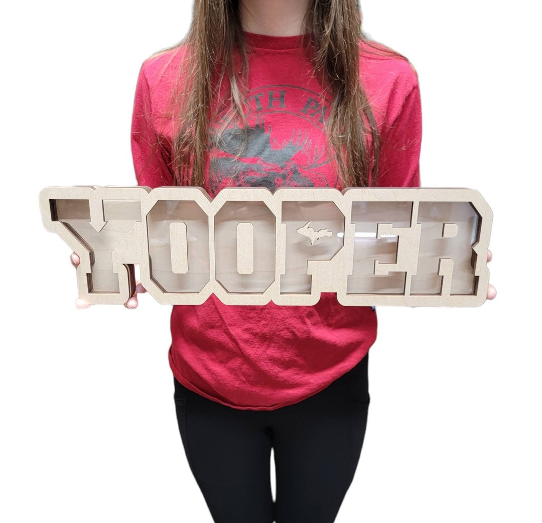 Yooper Shadow Box: Lake Superior Agate, Petoskey, Rock Display - Etsy