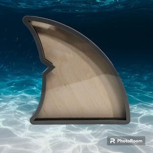 Shark Fin Shadow Box for Your Shark Teeth, Sea Glass! Shark Tooth ...
