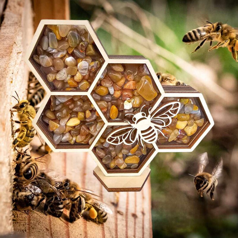 Bee Shadow Box - Etsy