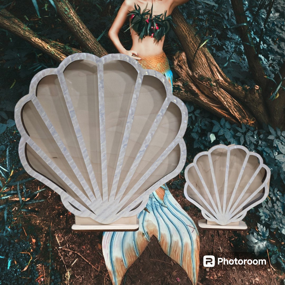 Seashell *pearl Display for Your Seashells, Sea Glass, Beach Glass ...