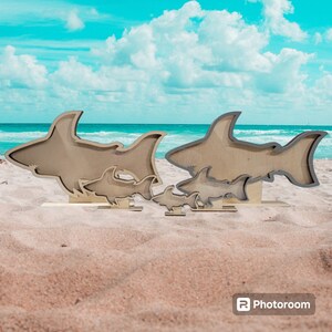 Shark Tooth Shadow Box - Etsy