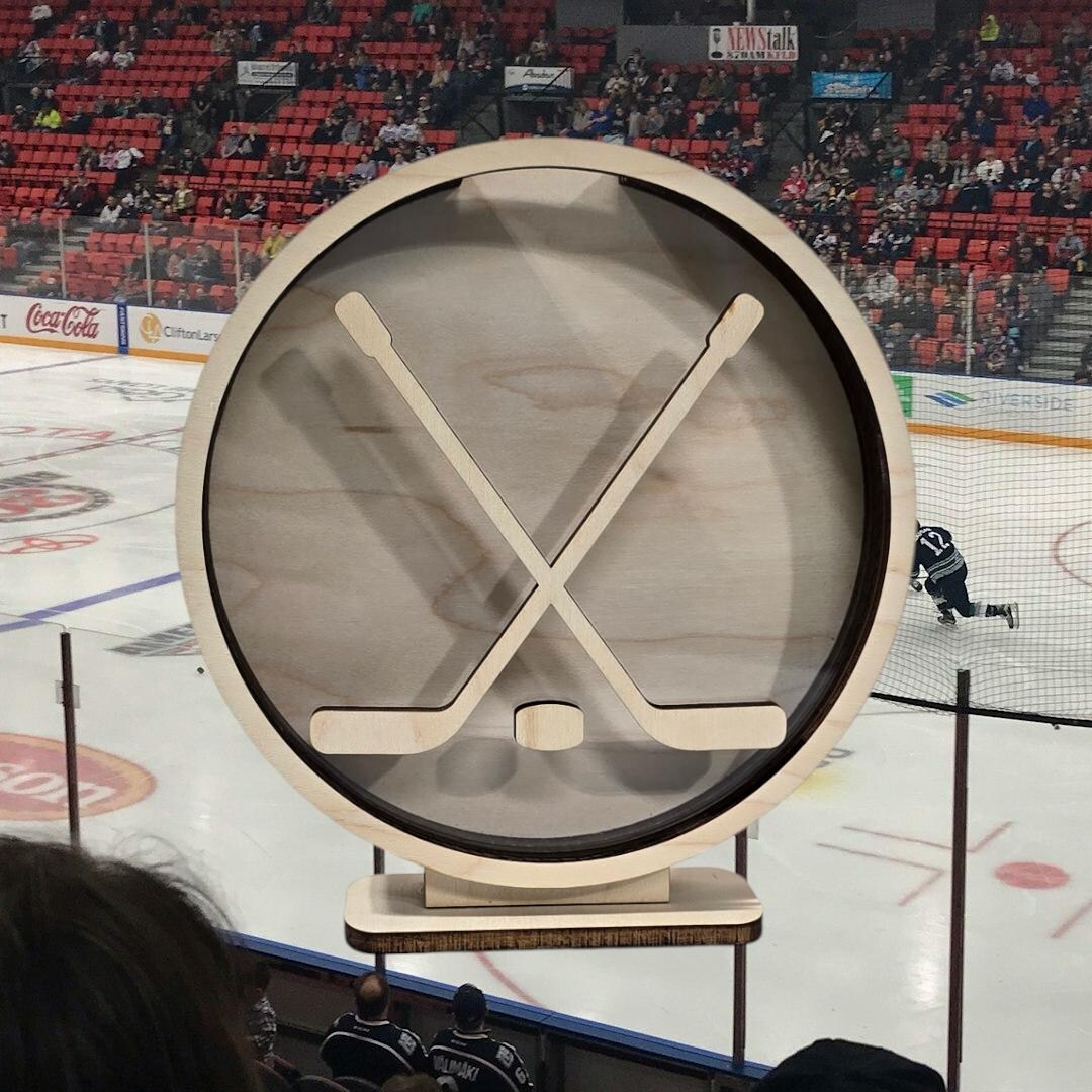 Hockey Shadow Box for Lake Superior Agates, Agates, Beach Glass, Shark ...