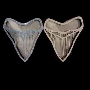MEGALODON Shark Tooth Shadow Box SMALL Wall Hanger Shark Teeth Display ...
