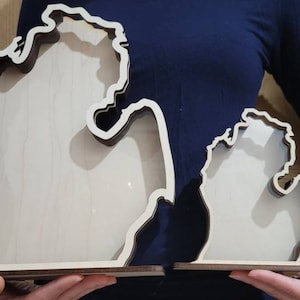 Michigan Shadow Box for Petoskey Stones | Lake Superior Agate | Sea ...