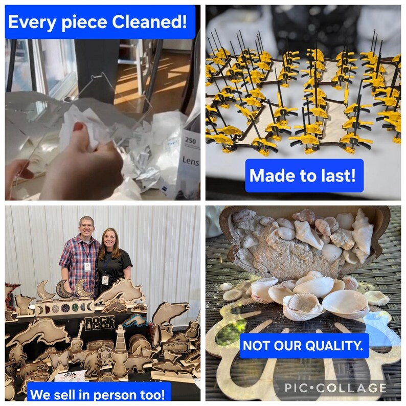 Jumping Shark Teeth Shadow Box | Shell Keeper Display | Sea Glass ...