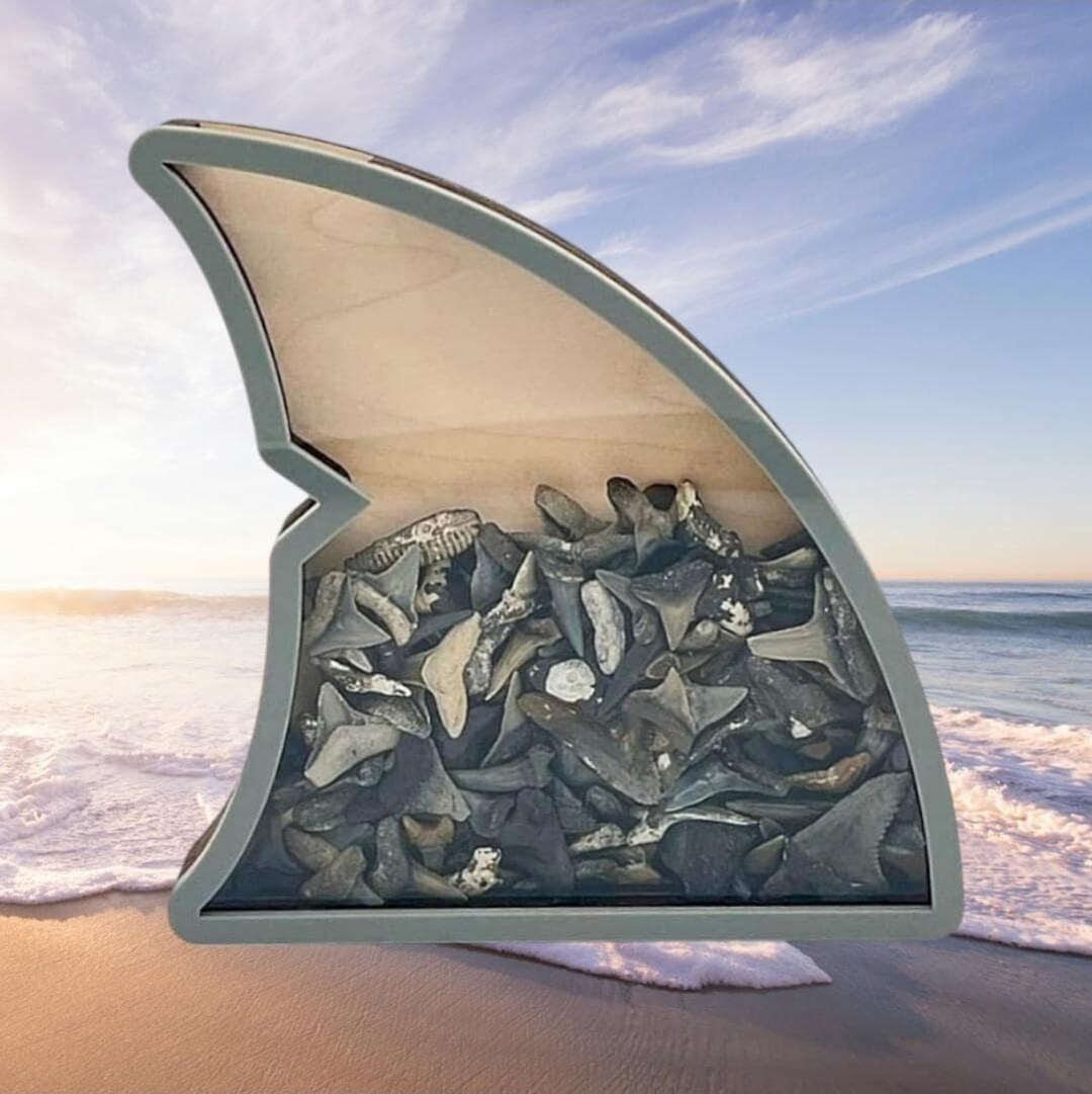 Shark Fin Shadow Box: Beach Keepsake Display for Shark Teeth | Sea ...