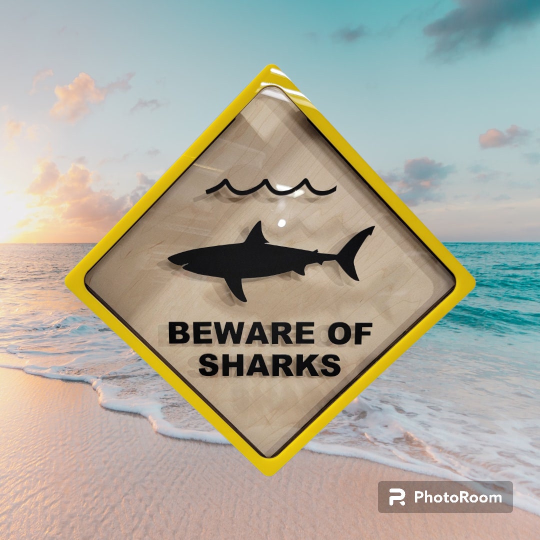 Shark Teeth Shadow Box "beware of Sharks" Teeth Display, Sea Glass ...