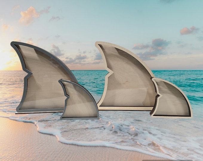 Shark Teeth Shadow Box for Shark Teeth, Small Shells, Fossils, Agates ...