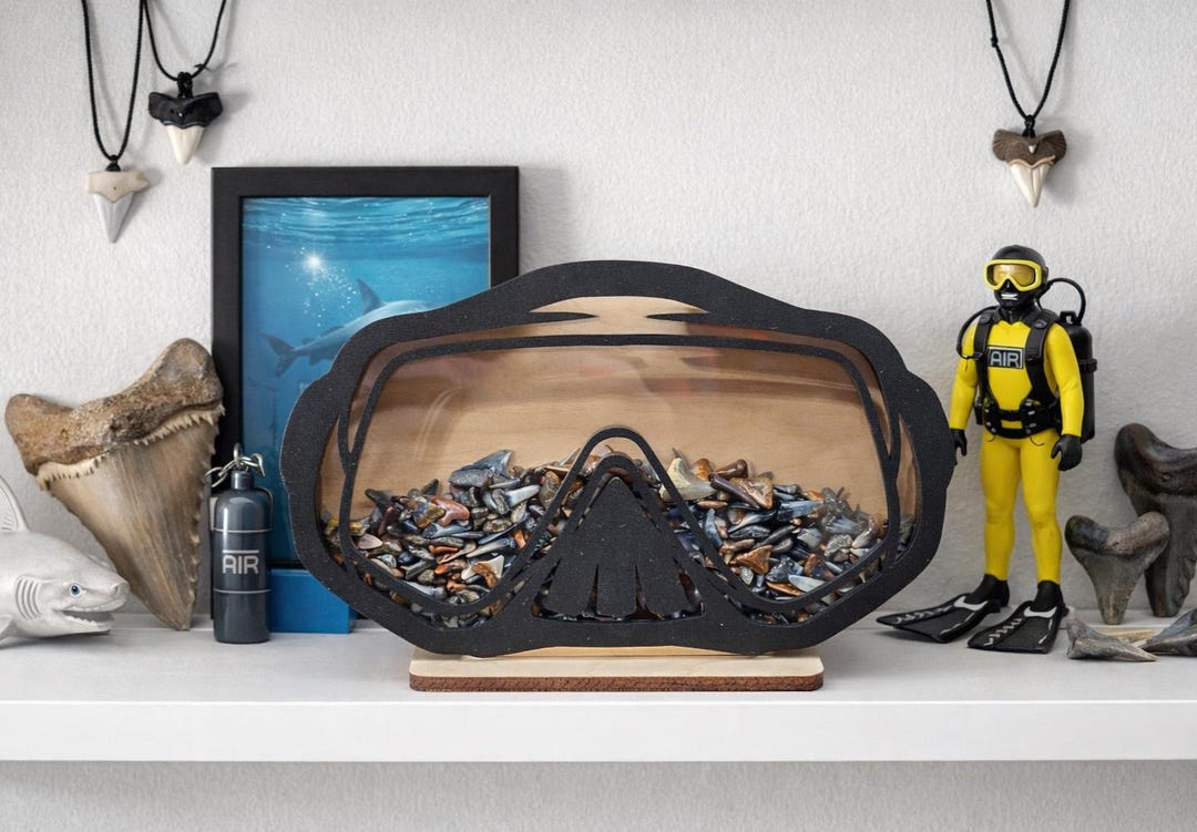 Scuba Sea Glass Shadow Box: Shark Teeth | Seashells | Coastal Decor ...