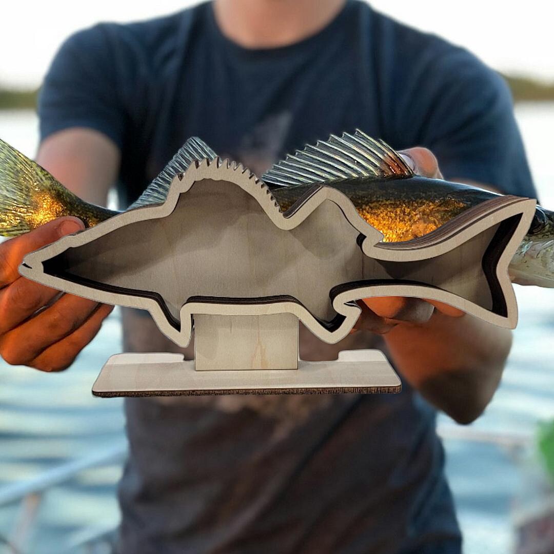 Walleye Display Box for Lake Superior Agates, Sea Glass, Rocks, Etc. 2 ...