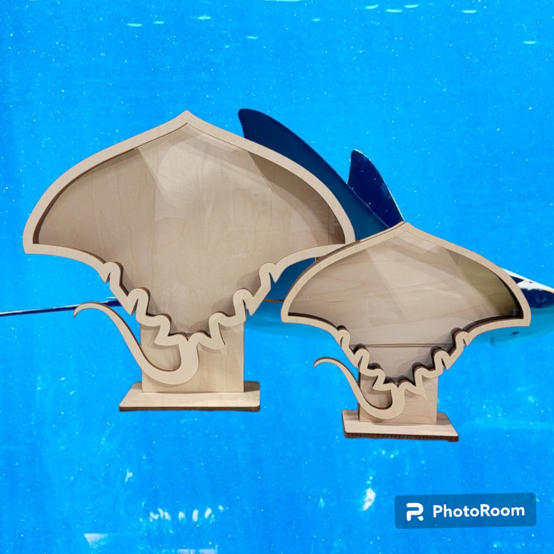 Sting Ray Shadow Box for Shark Teeth, Plates, Teeth, Tooth, Beach Glass ...