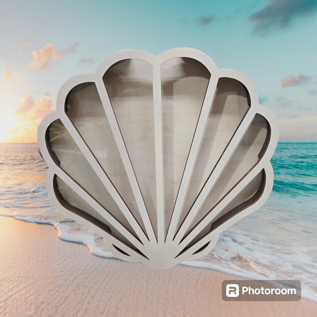 Seashell Shadow Box LARGE WALL Hanger for Your Seashells, Agates, Sea ...