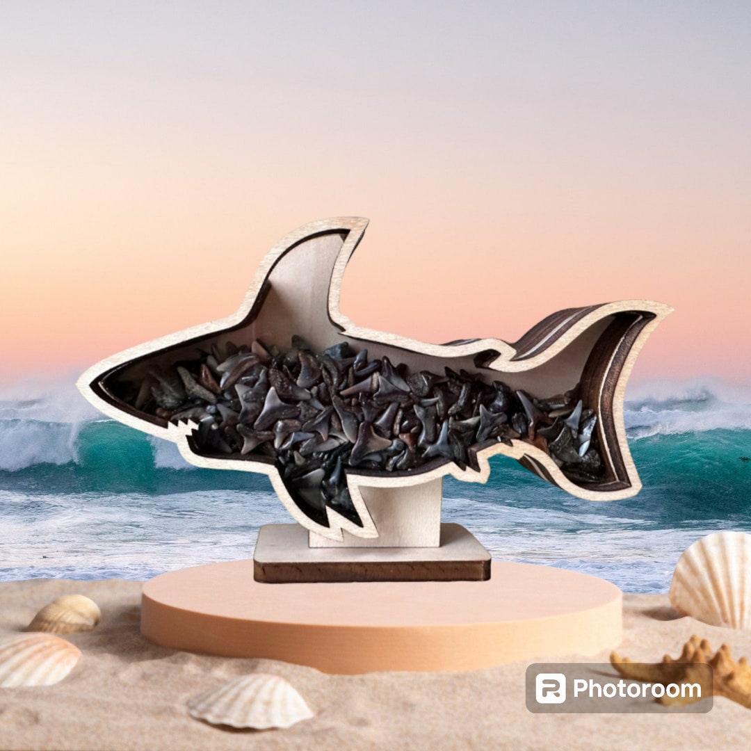 Shark Tooth Shadow Box MINI for Your Tiny Shark Teeth, Rocks, Beach ...