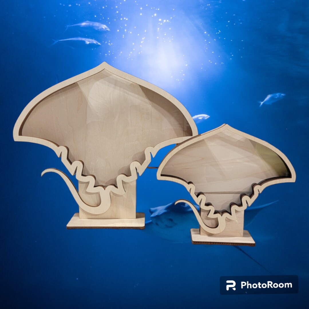 Sting Ray Shadow Box for Shark Teeth, Plates, Teeth, Tooth, Beach Glass ...