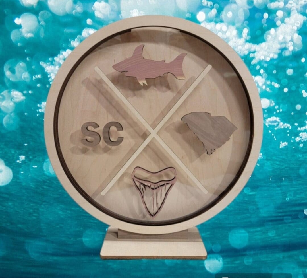 Shark Teeth south Carolina Shadow Box Perfect Way to Display Your Small ...