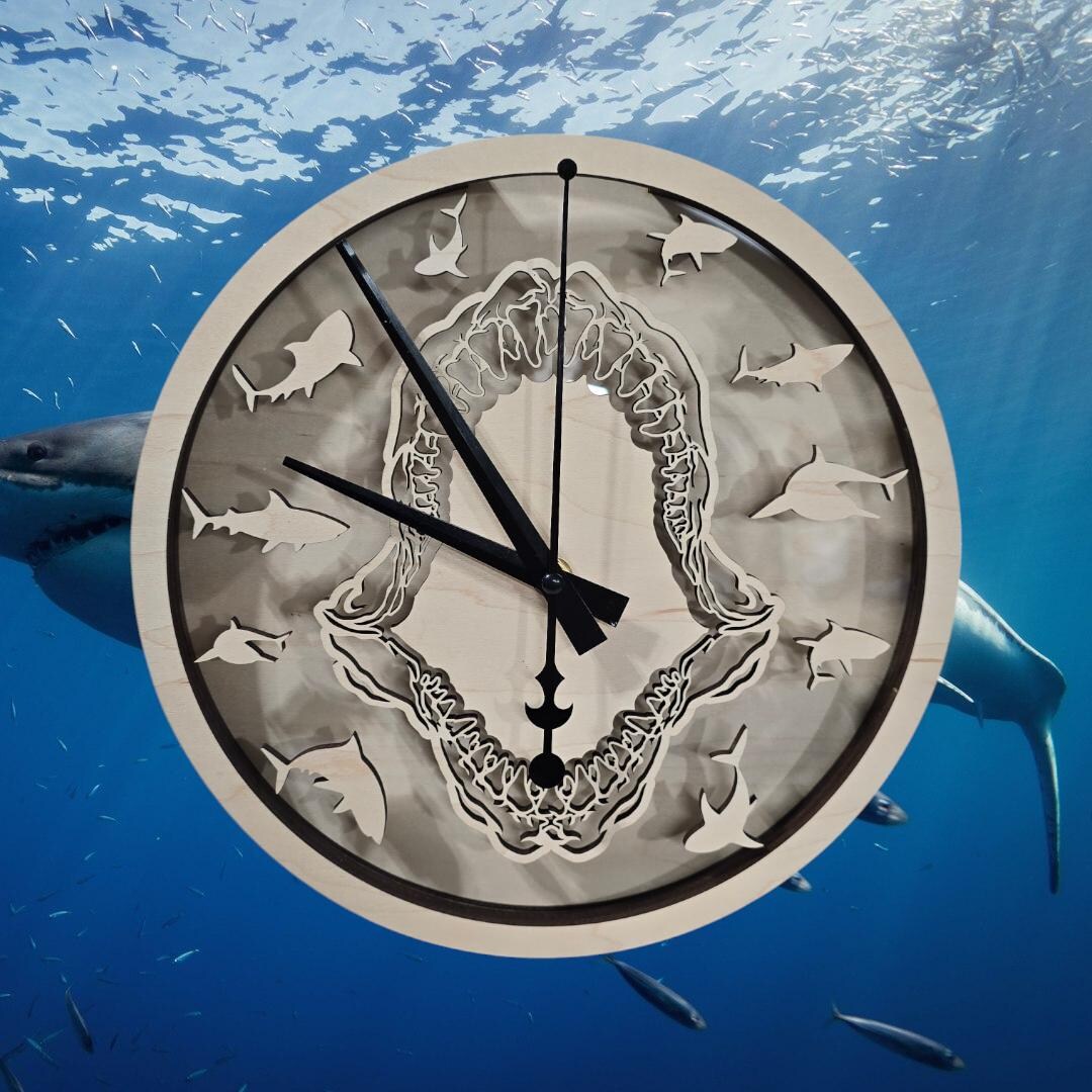 Shark Teeth Shadow Box Clock: "shark Jaws" Display - Etsy