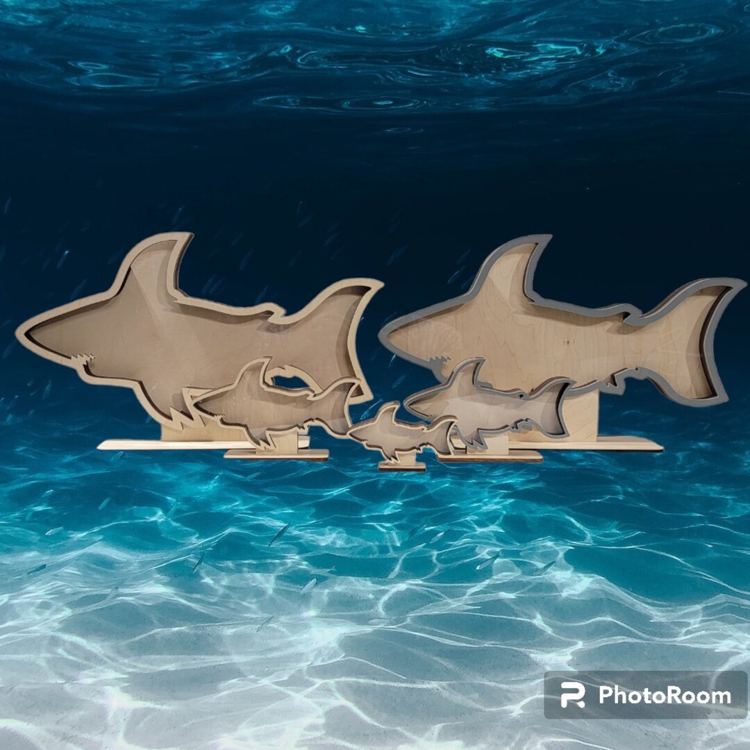 Shark Tooth Shadow Box for Shark Teeth Beach Glass Agates - Etsy