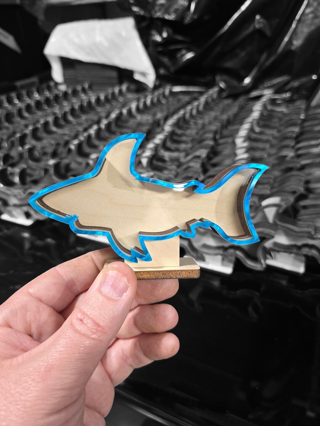 Shark Teeth Display "beautifully Blue" Mini Shark Tooth Shadow Box - Etsy